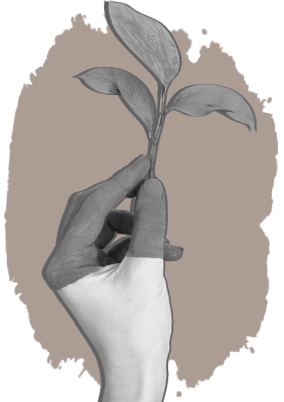 Coaching - Keller pathways